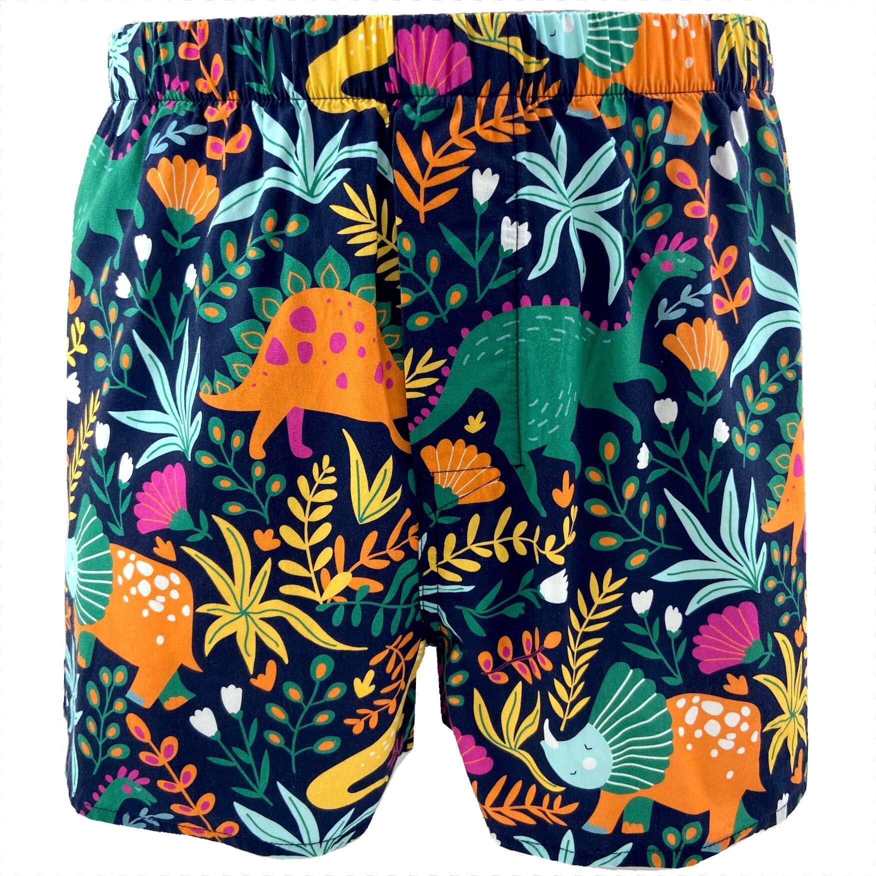 Men's Colorful Floral Dinosaur Print Jurassic Boxer Shorts for Adults